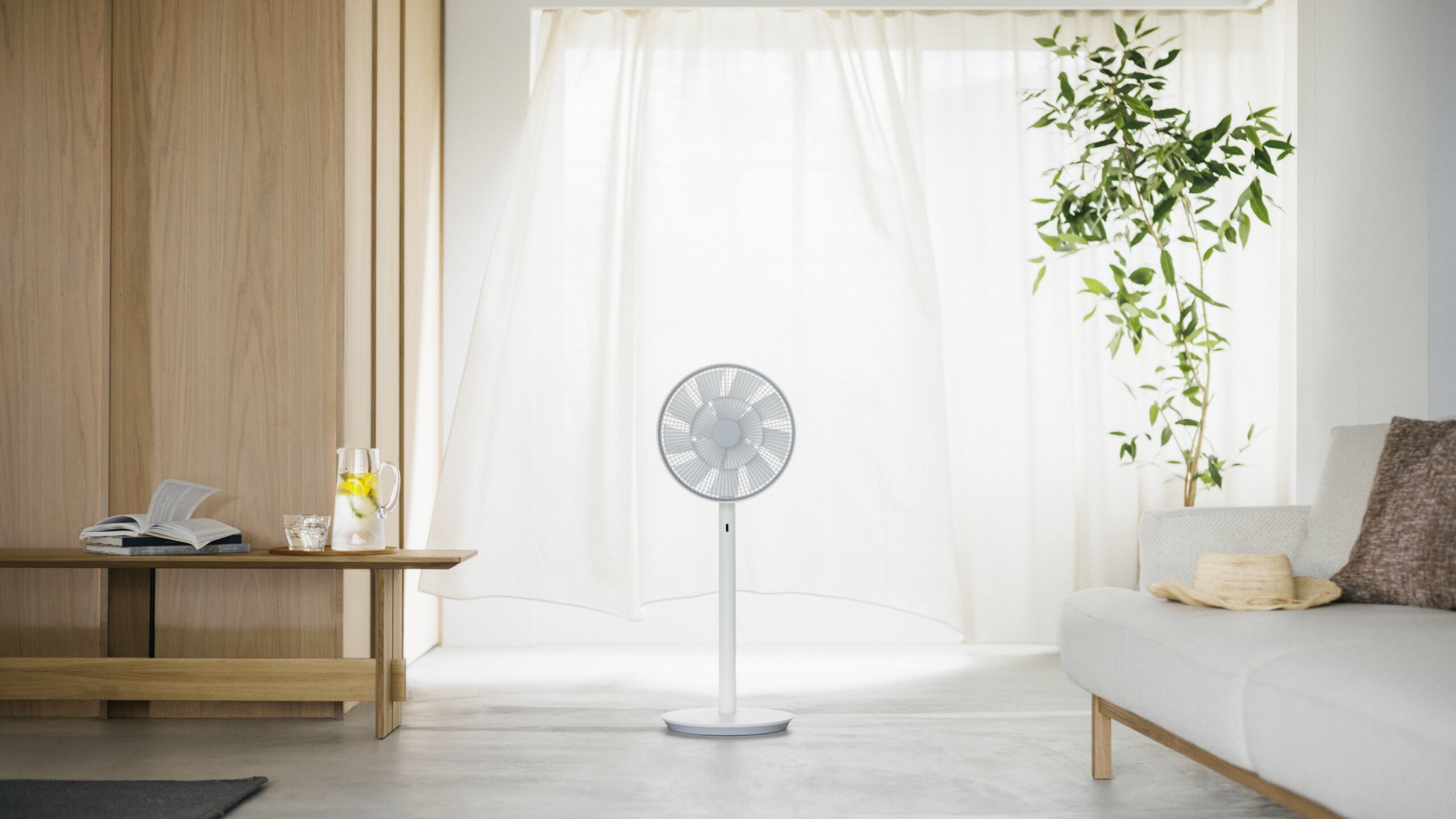 概述 | The Green Fan | BALMUDA Taiwan｜Official Website